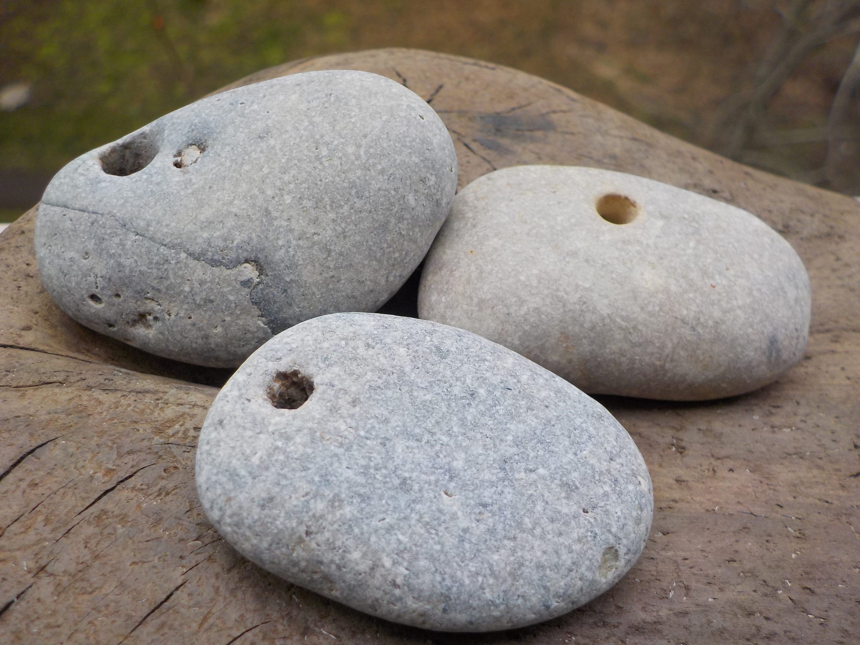 3 Small 1.4-1.7/3.7-4.4cm Hag Stones Pebbles With | Etsy
