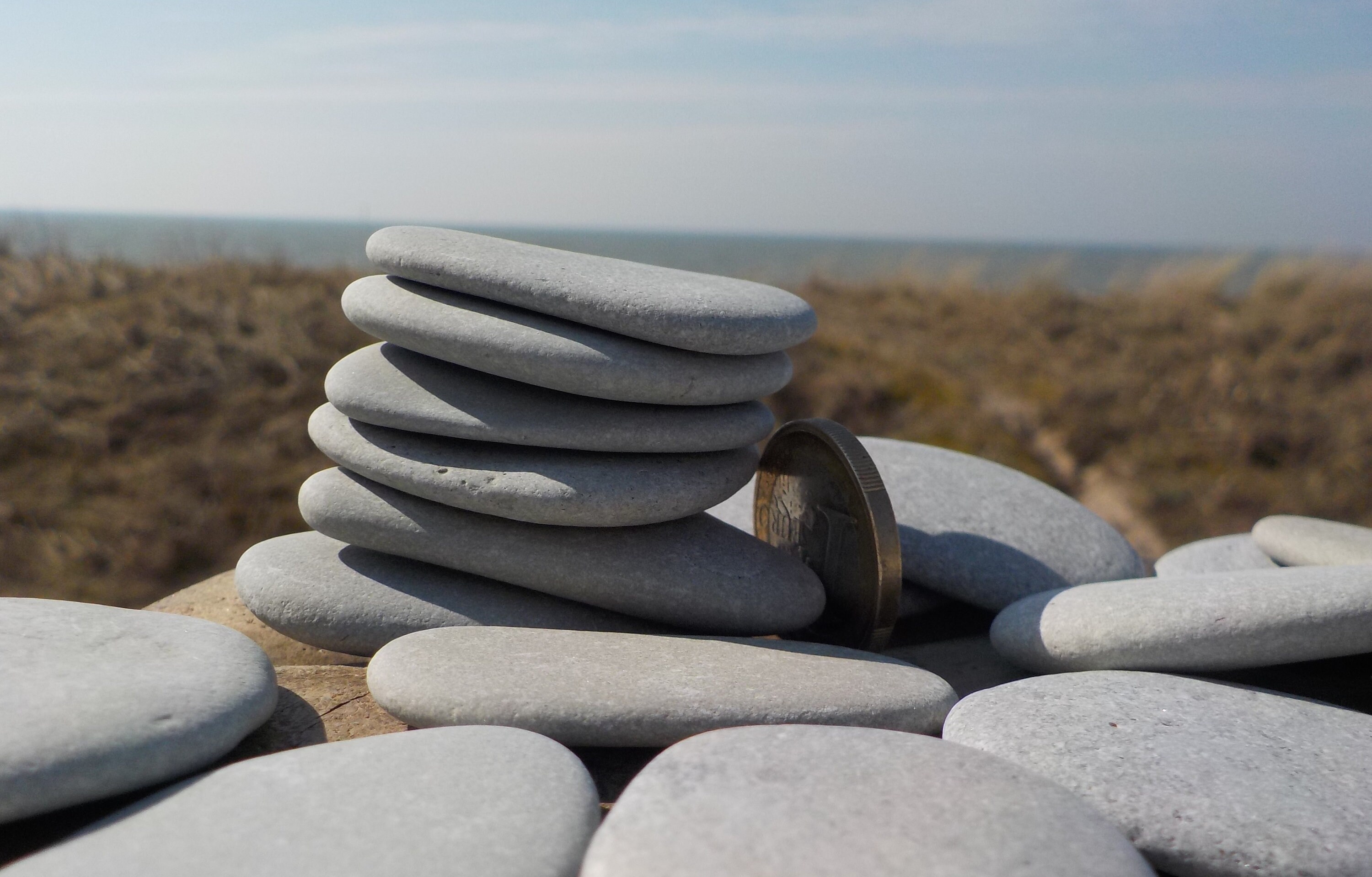 Stone Decor - Set of 20 SMALL Elongated Pebbles 1.2-2"/30-45mm-flat Sea ...