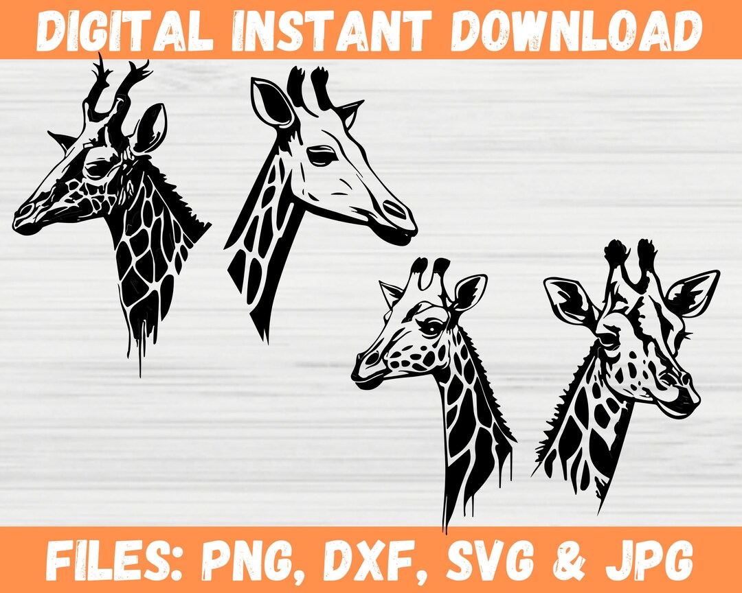 Giraffe Clipart Svg Cute African Tall Animal Digital Download Safari ...