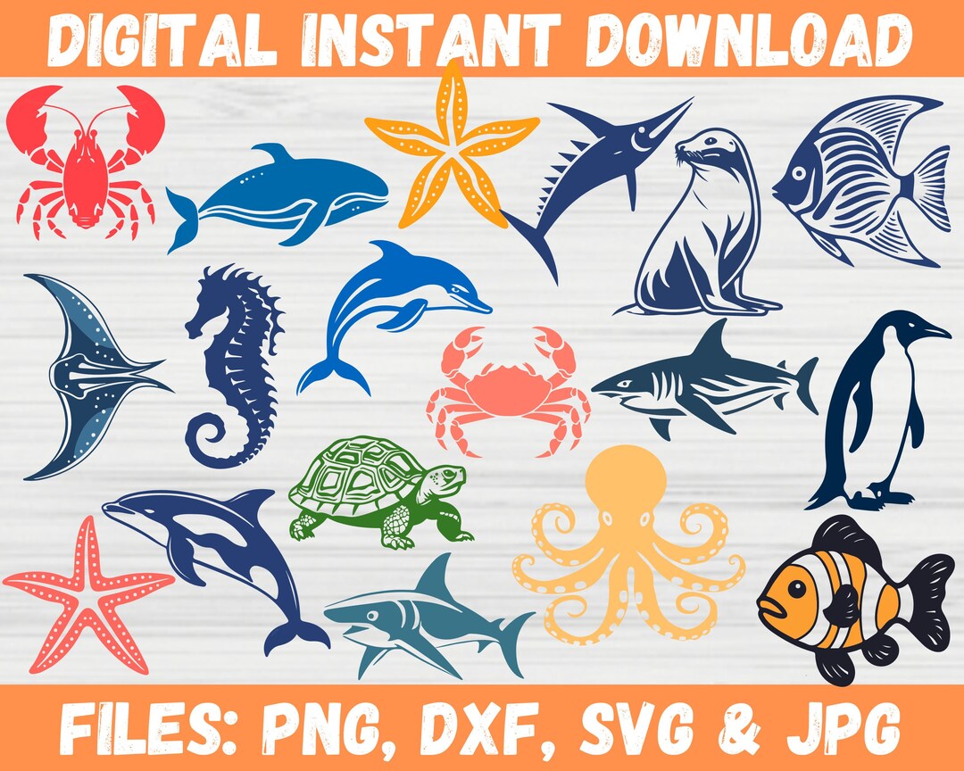 Sea Life SVG Bundle Sea Animal, Shark Fish, Ocean, Dolphin, Instant ...