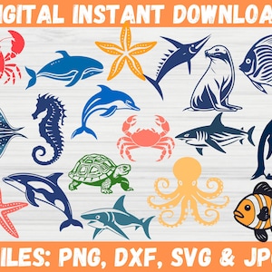Sea Life SVG Bundle Sea Animal, Shark Fish, Ocean, Dolphin, Instant ...