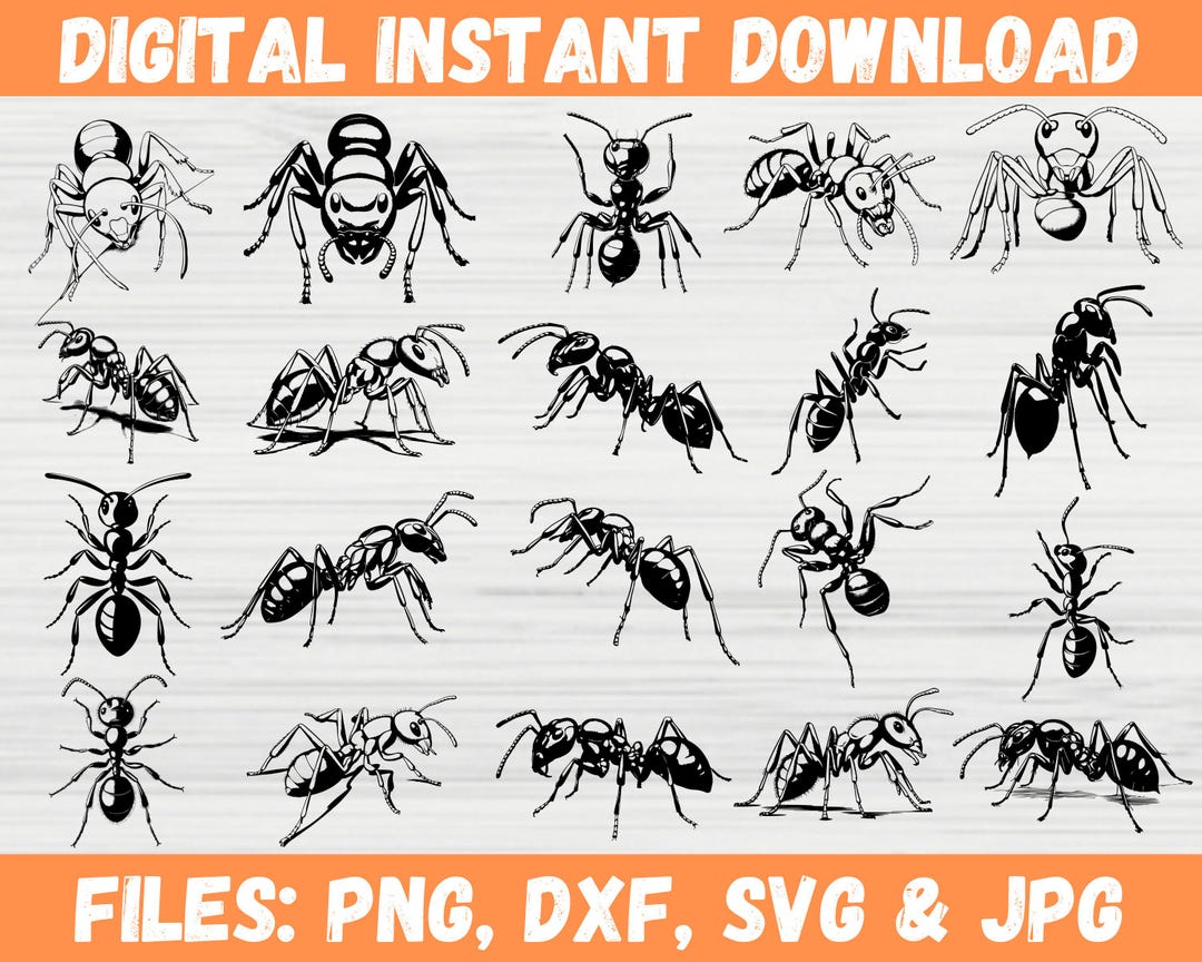 Ants Svg, Ants Cricut, Ants Vector, Ants Svg Bundle, Ant Silhouette, Ant Svg, Cut Ant Cricut ...