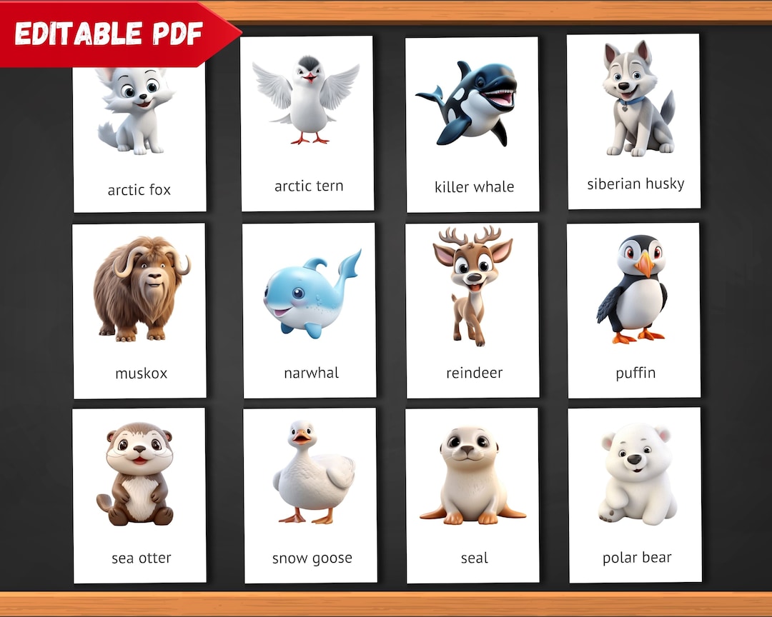 Cartoon Arctic Animals Flash Cards, Printable Card Template Mockup, 3 ...