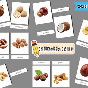 NUTS Flash Cards for Kids | Educational Flash Cards, Editable ...