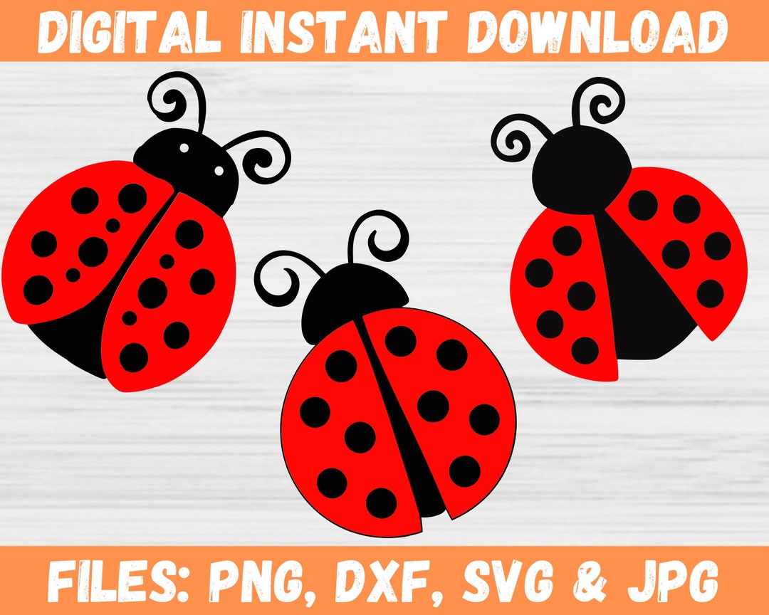 Ladybug Bundle SVG Cute Insect Clipart for Cricut Lady Bug Cut Files in ...
