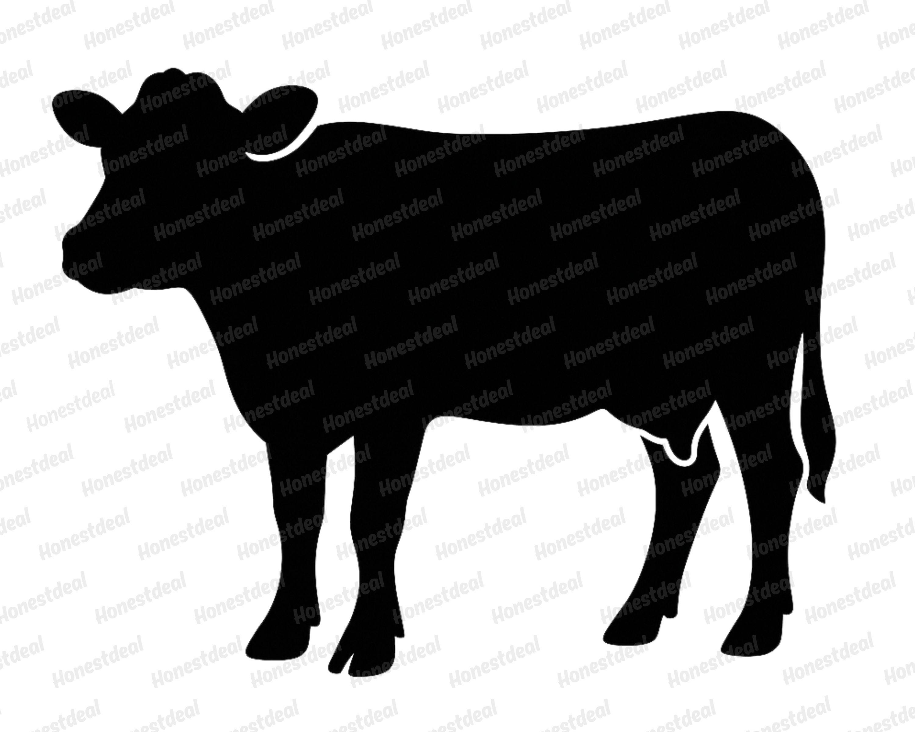 Beef Cattle SVG Bundle, Farm Cow Silhouette Cut Files, Angus Bull Ranch ...
