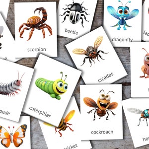 Insects Flashcards | PDF Printable Card | Editable Montessori Cards ...