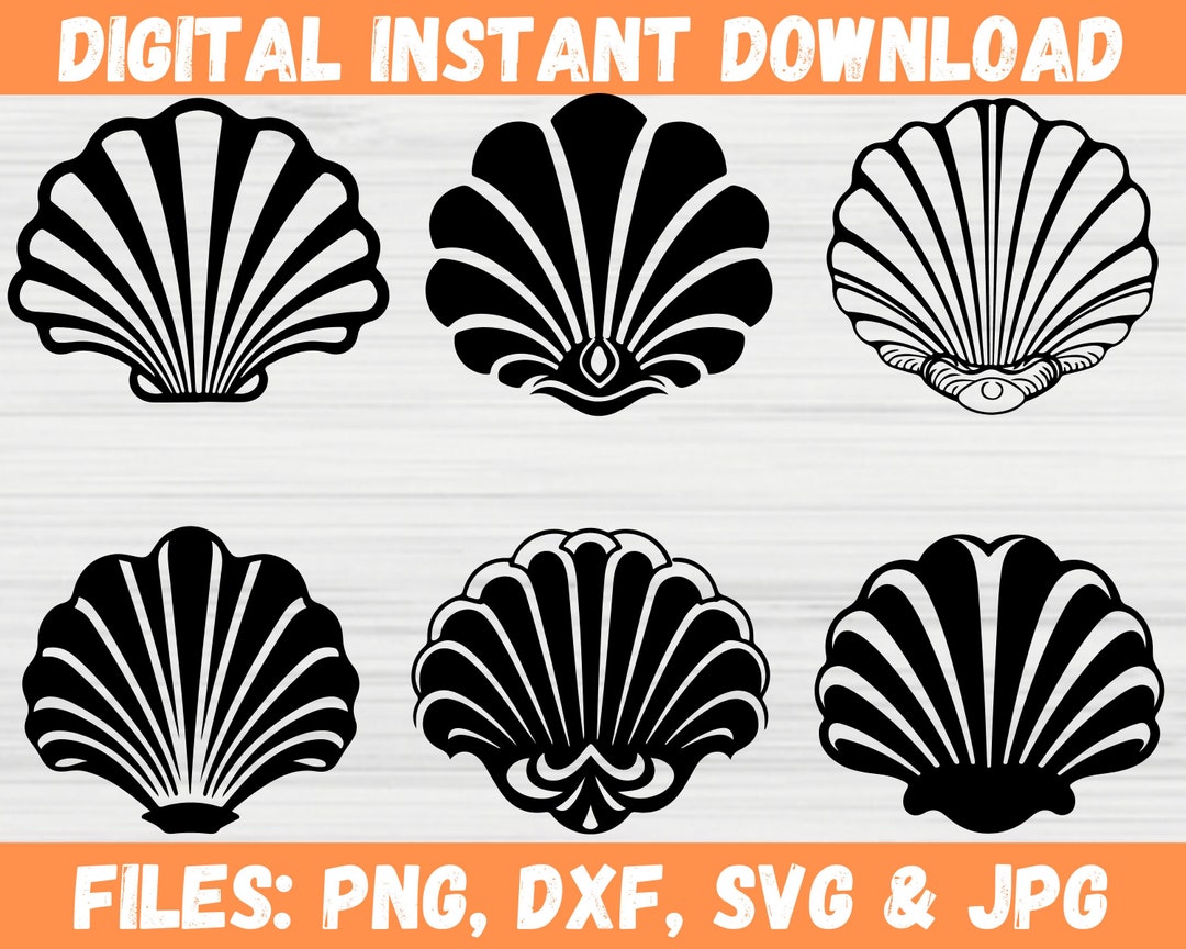 Beach Sea Shells SVG, Commercial Use, Instant Download, Marine Sea ...