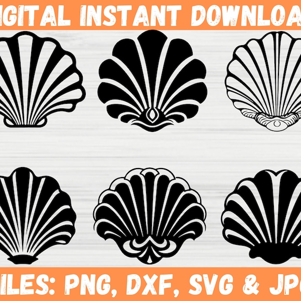 Sea Shell Svg - Etsy