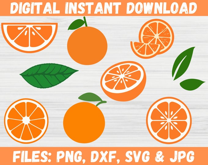 Orange Splash Svg, Orange Slice Svg, Citrus Svg, Orange Fruit Svg ...