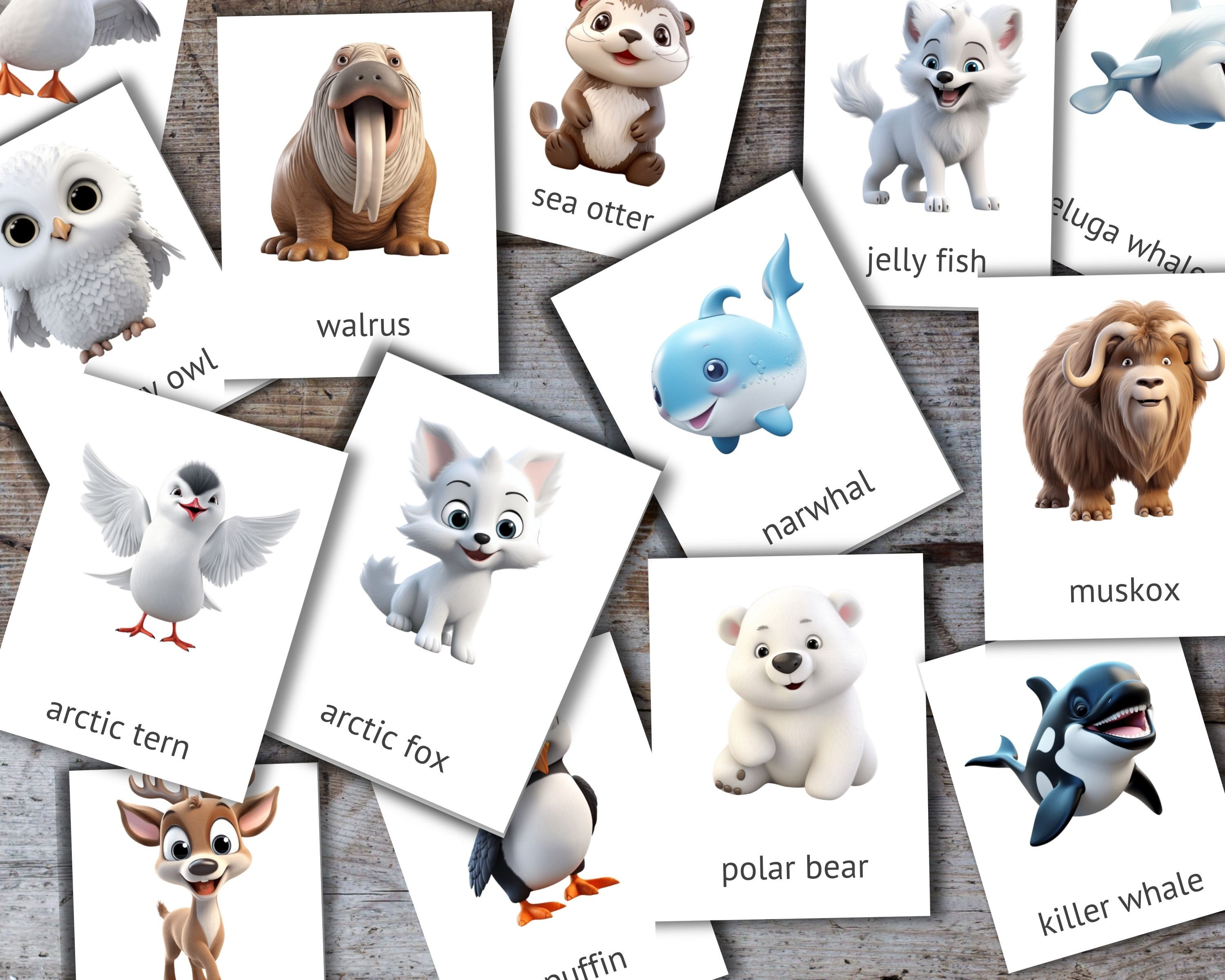 Cute Cartoon Arctic Animals Flash Cards for Kids & Toddlers ...