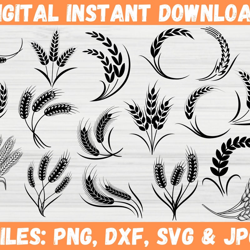 Wheat Svg Frame - Etsy