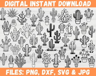 Cactus Collection SVG, Cacti Clipart Bundle, Succulent Flower Plant ...