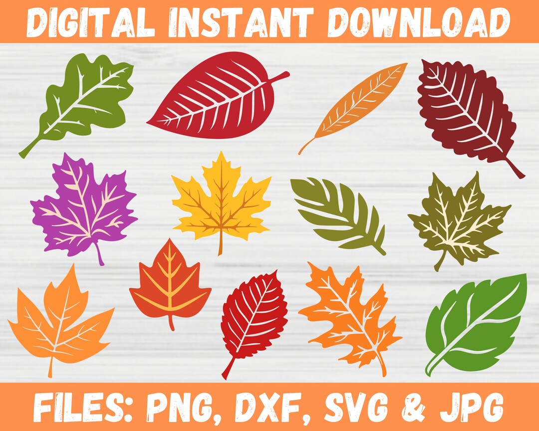 Fall Leaves SVG, Fall Leaf Svg Bundle, Clipart Cut Files for Cricut ...