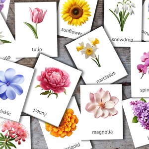 Flowers Flash Cards JPG, Montessori Printable Card Learning Material ...