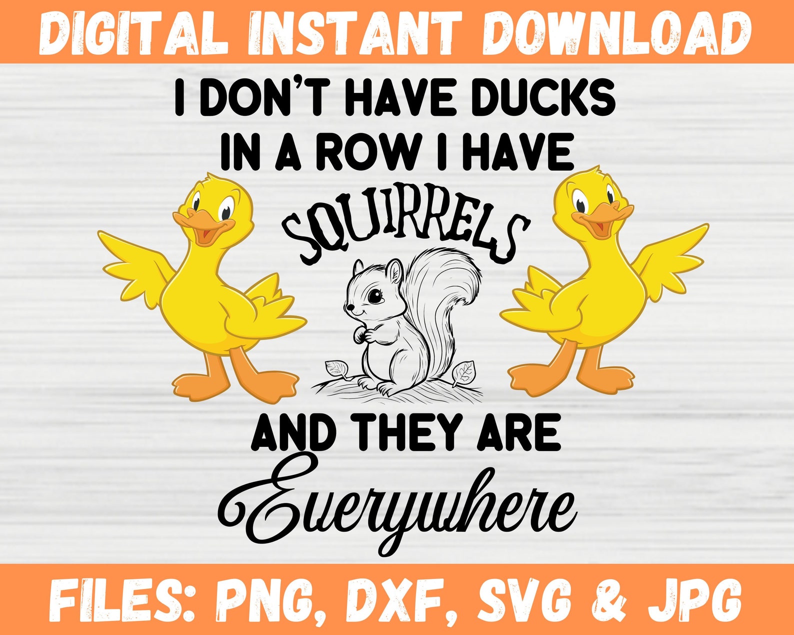 I Don't Have Ducks or a Row, I Have Squirrels and They Everywhere ...