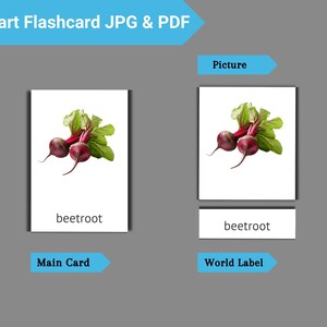 Veggie Flashcards | Editable PDF Kid Flashcards | Vegetable Flashcards ...