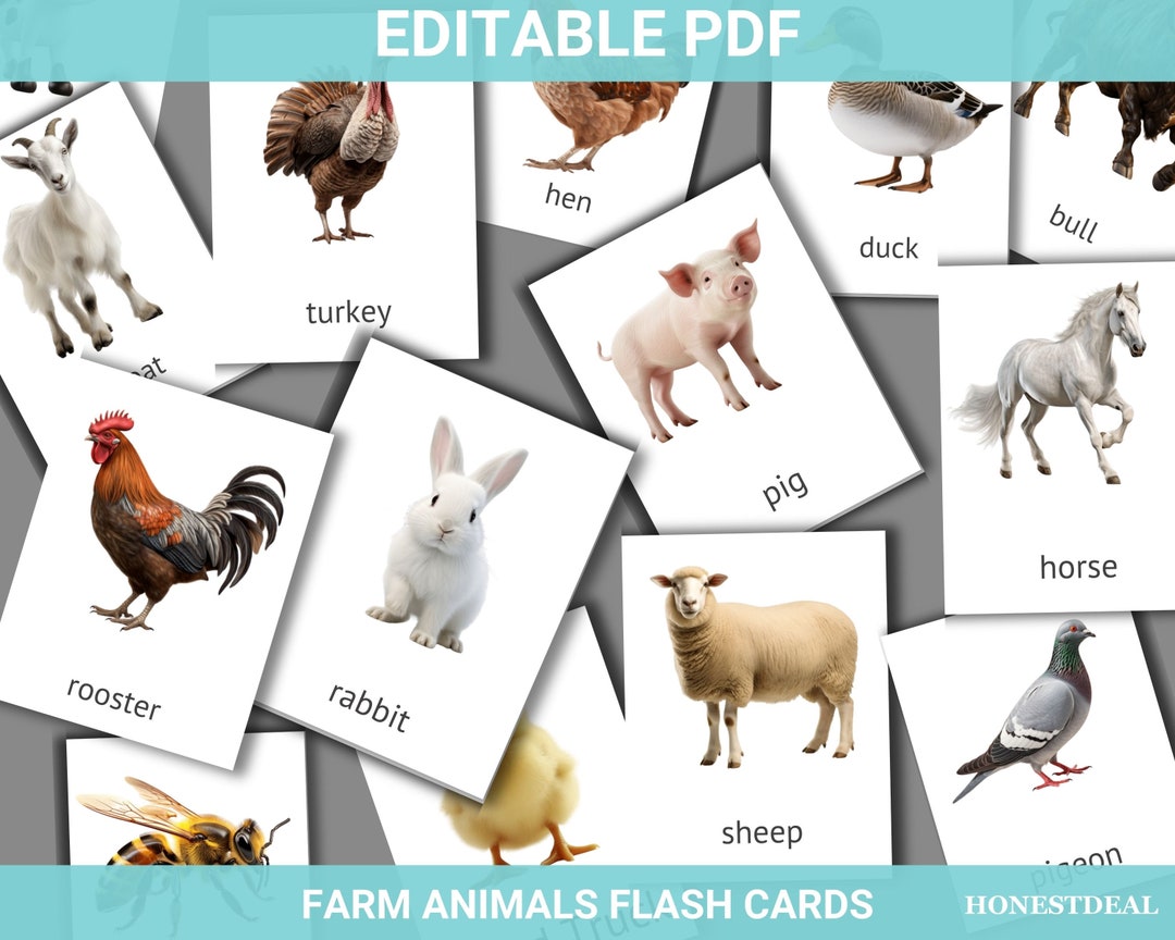 Animals Flashcards | PDF Printable Card | Editable Montessori Cards ...