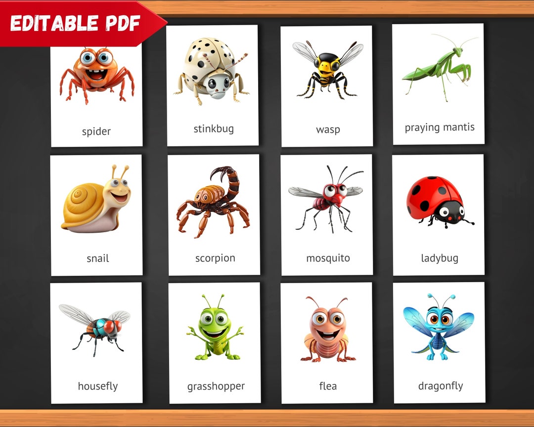 Insects Flashcards | Editable Montessori Cards | PDF Printable Card ...