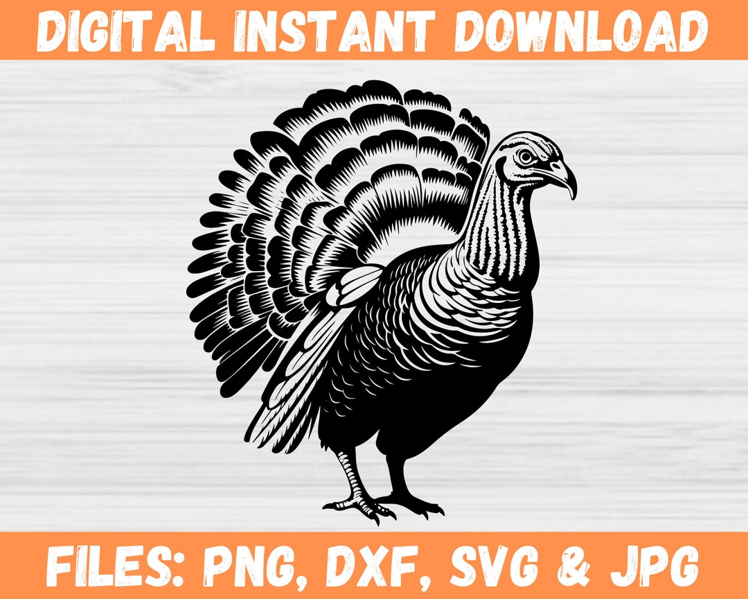 Standing Wild Turkey SVG, Fall Thanksgiving Turkey Silhouette Vector ...