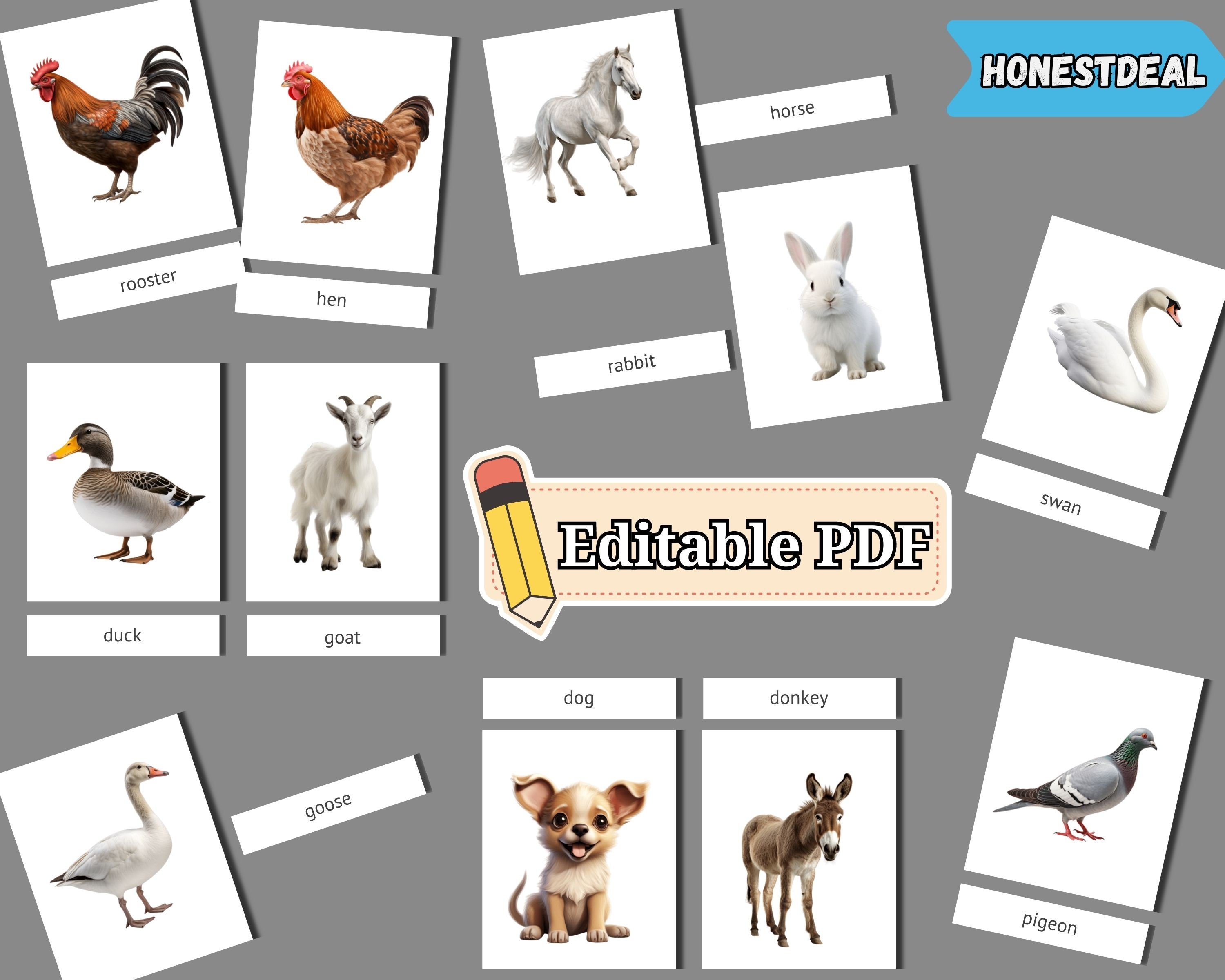 Farm Animals Cards for Kids | Animal Flash Cards | Editable Montessori ...