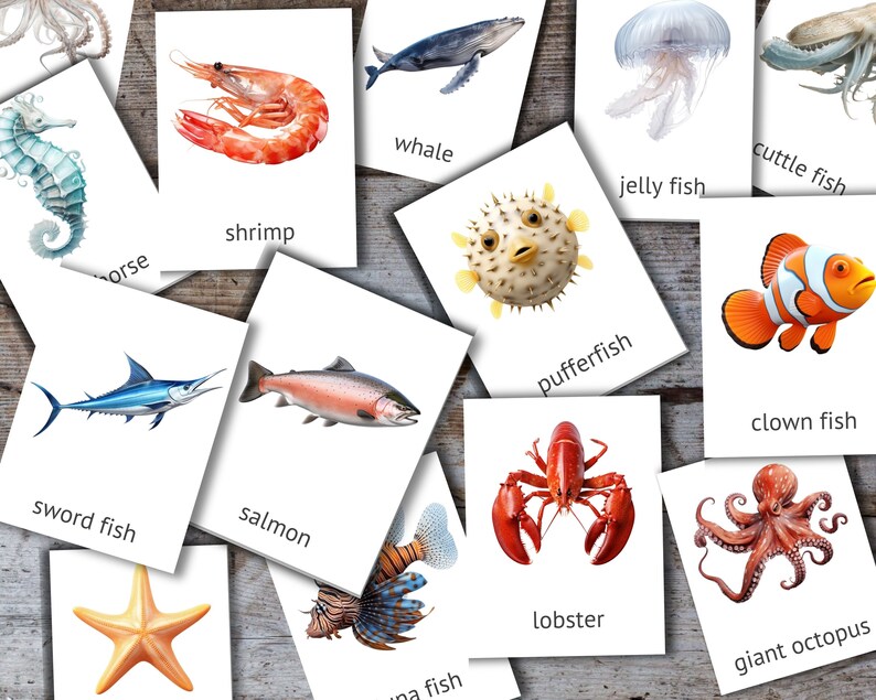 Sea Animals Flashcards PDF Printable Card Editable - Etsy