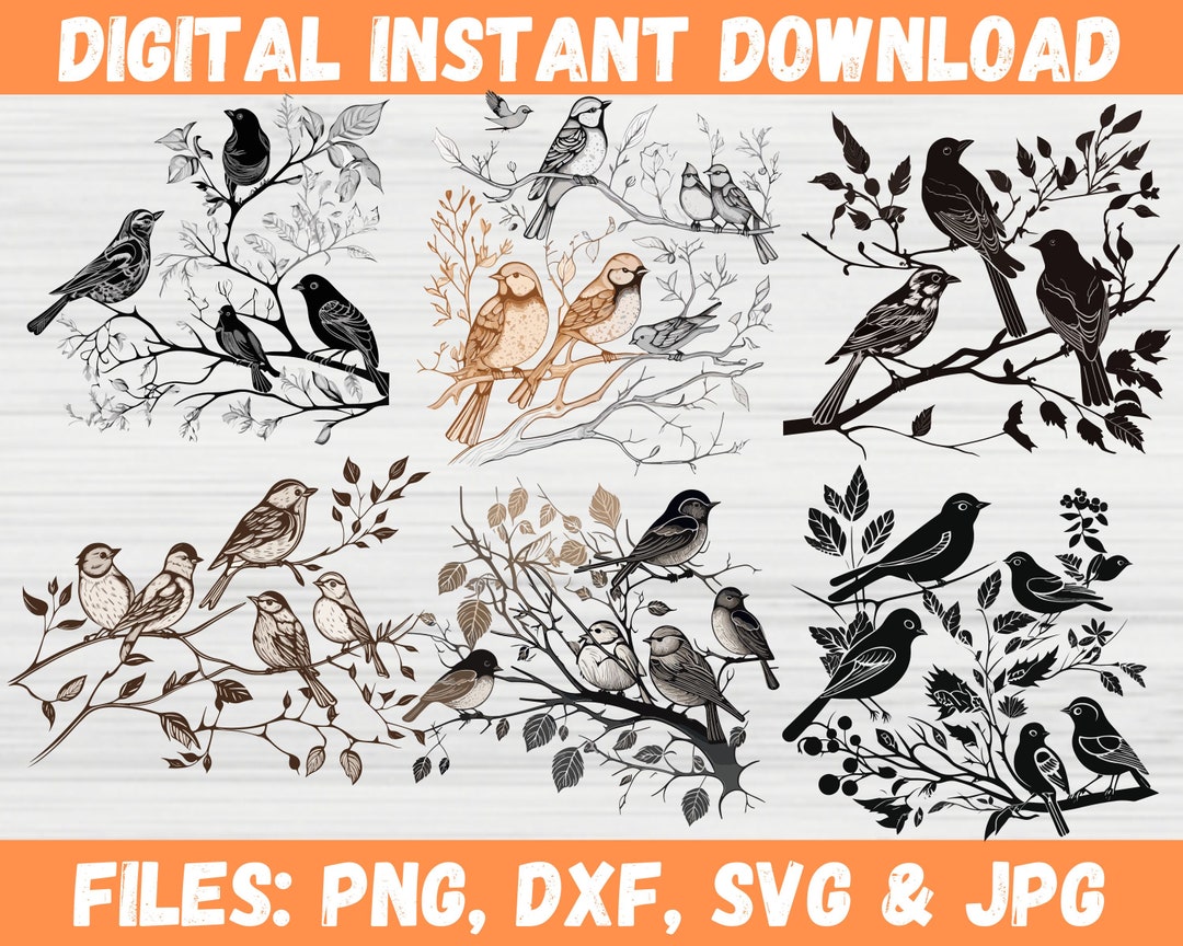 Birds on Branches SVG - Gorgeous Chirping Flock in Stunning Silhouette ...