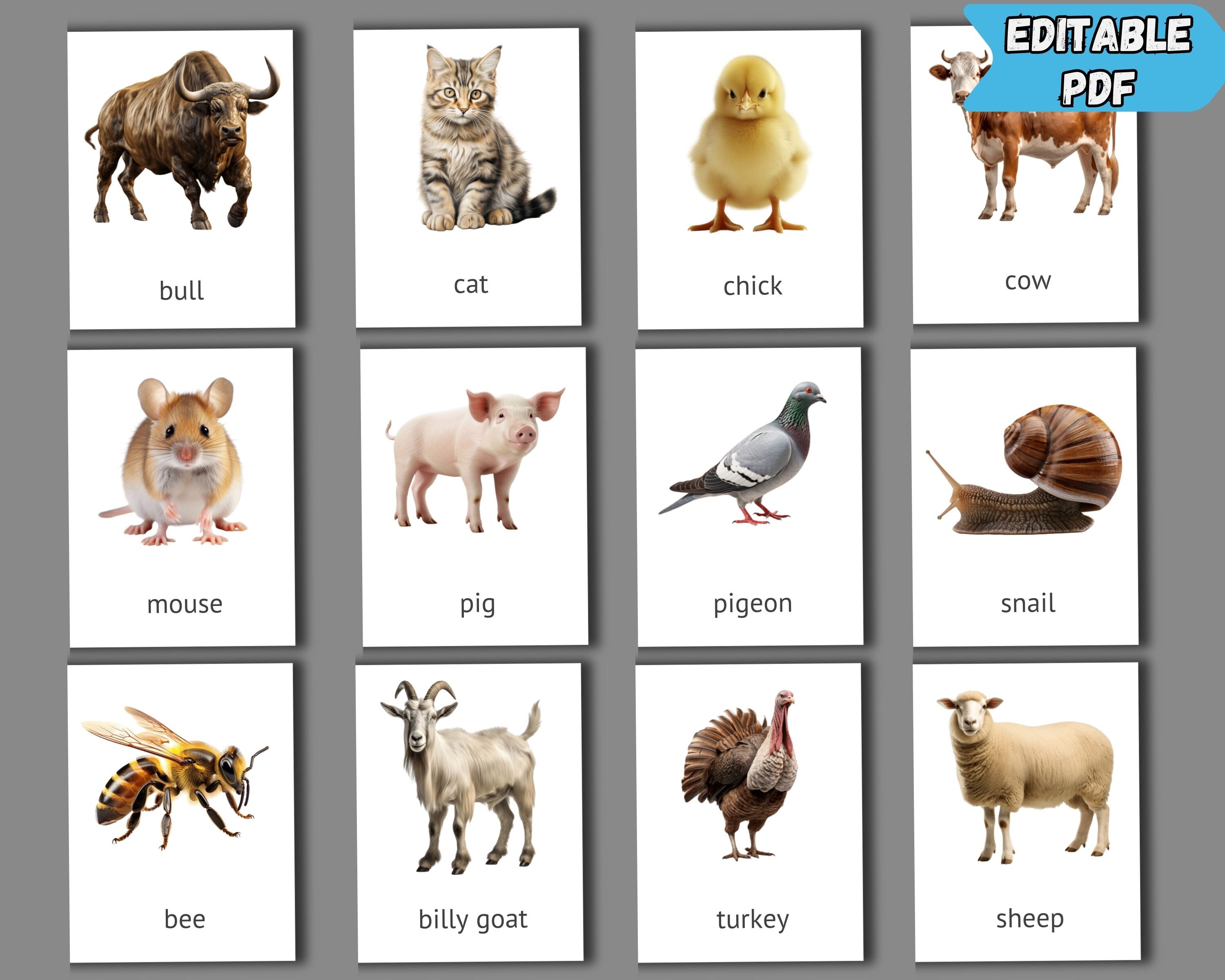 Farm Animals Cards for Kids | Animal Flash Cards | Editable Montessori ...