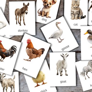 Animals Flashcards | PDF Printable Card | Editable Montessori Cards ...