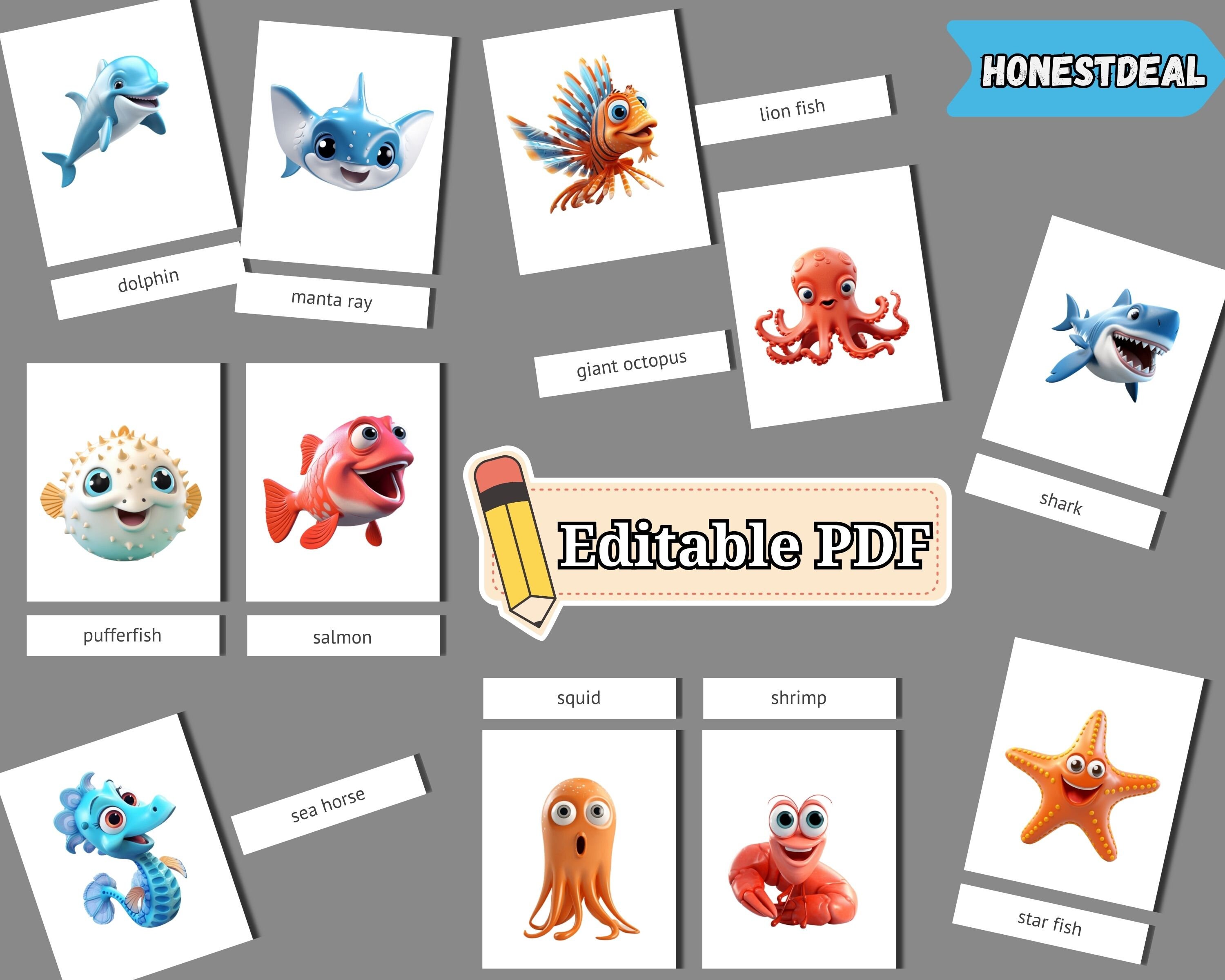 Sea Animals Flashcards PDF Printable Card Editable - Etsy