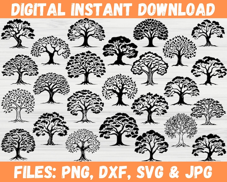 Oak Tree SVG Bundle, Big Wood Tree Clipart, Digital Download, Cricut ...