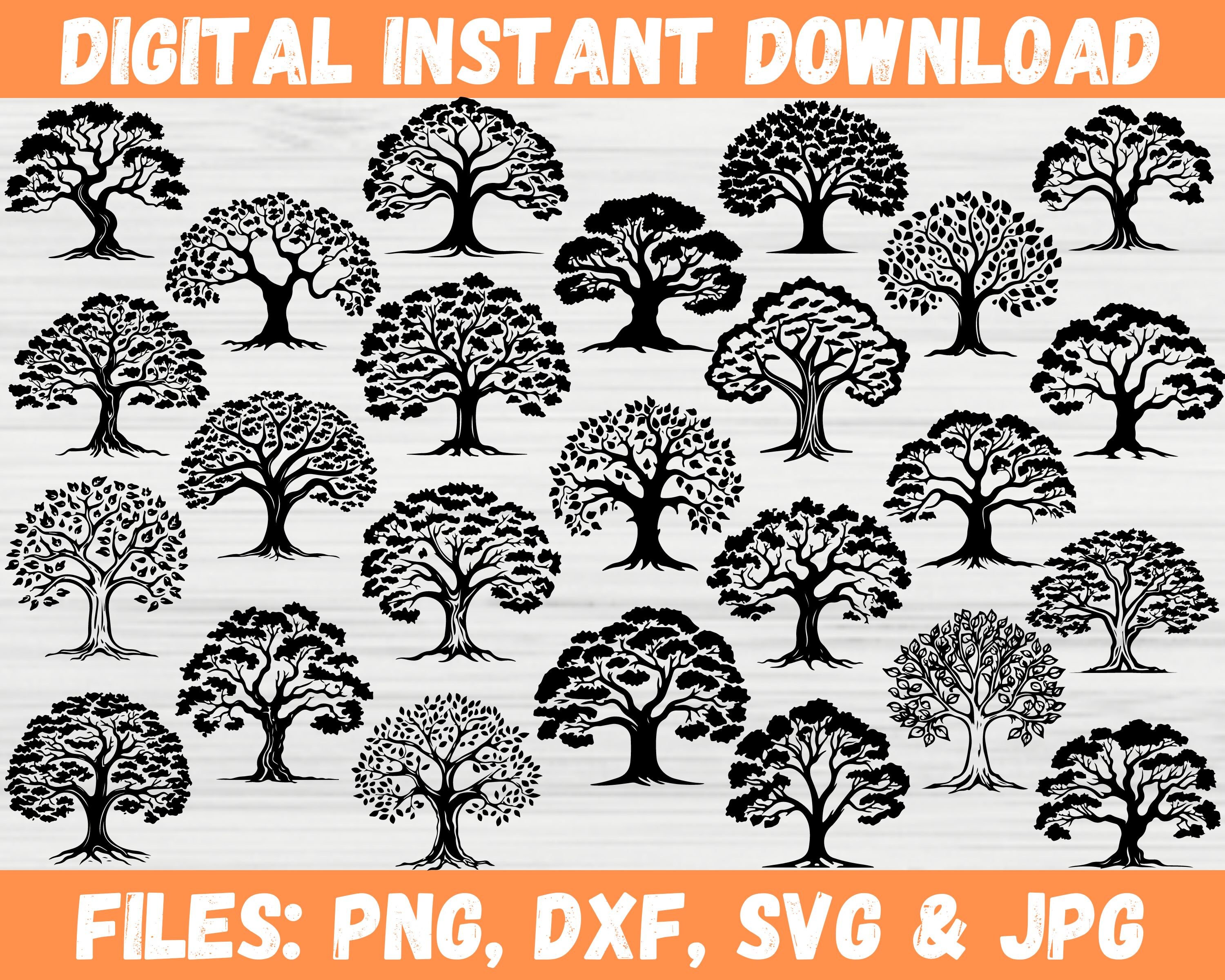 Oak Tree SVG Bundle, Big Wood Tree Clipart, Digital Download, Cricut ...