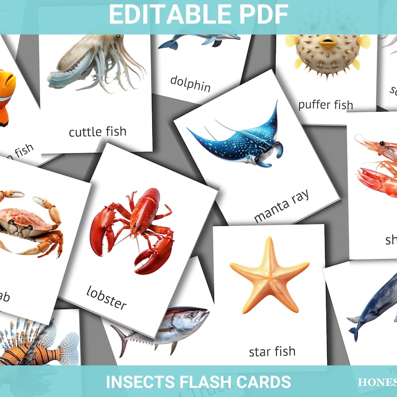 Sea Creature Cards - Etsy Canada