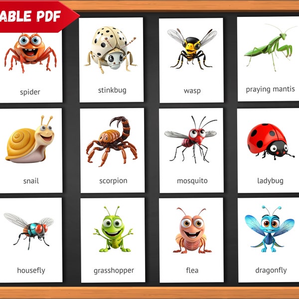 Insect Flash Card - Etsy