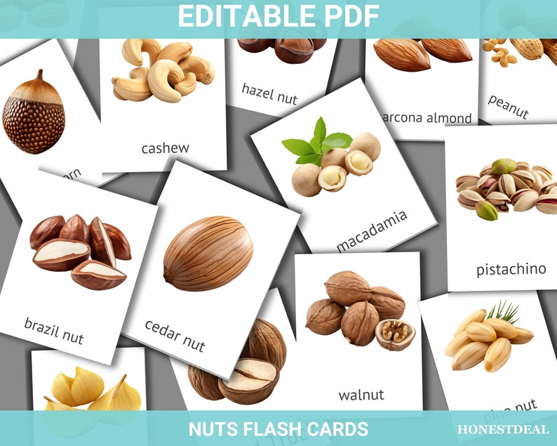 Nuts Flashcards PDF Printable Card Editable Montessori - Etsy