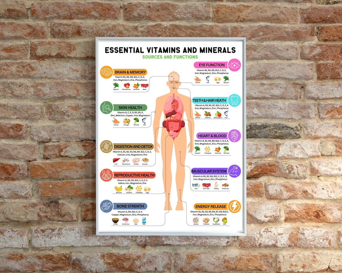 Vitamins and Mineral Chart Sheet, Nutrition Facts Food List, Essential ...