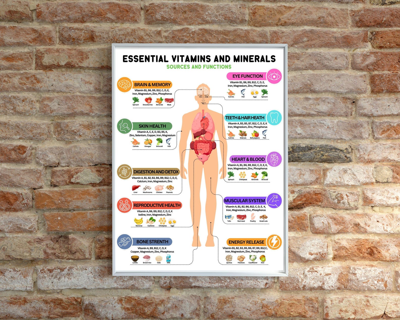 Vitamins and Mineral Chart Sheet, Nutrition Facts Food List, Essential ...