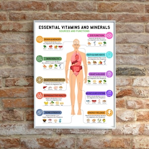 Vitamins and Mineral Chart Sheet, Nutrition Facts Food List, Essential ...
