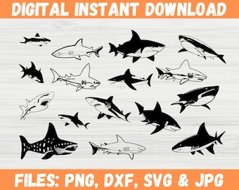 Shark Svg Bundle, Shark Silhouettes Svg, Hammerhead Shark Svg, Shark ...