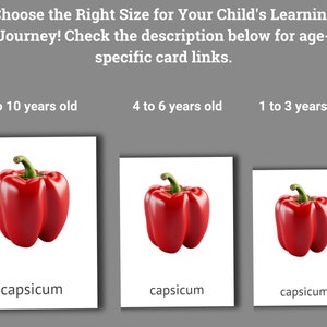 Vegetable Flashcards | Editable PDF Kid Flashcards | Flashcards ...