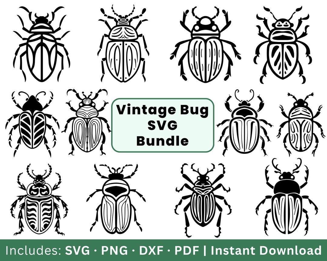 High Quality Scarab Beetle SVG Bundle, Scarab Beetle DXF, PNG, Vector ...