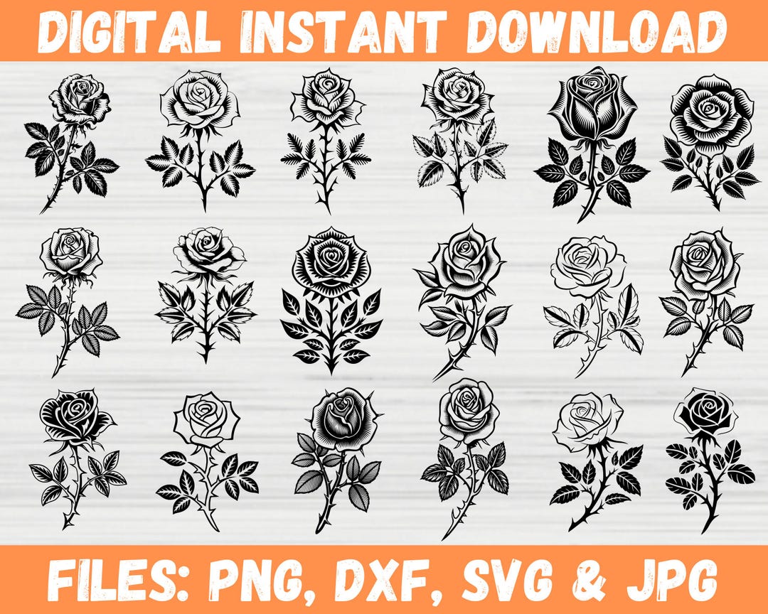 Rose SVG Bundle, Rose Svg, Floral Svg, Rose Svg, Roses Bundle, Rose ...