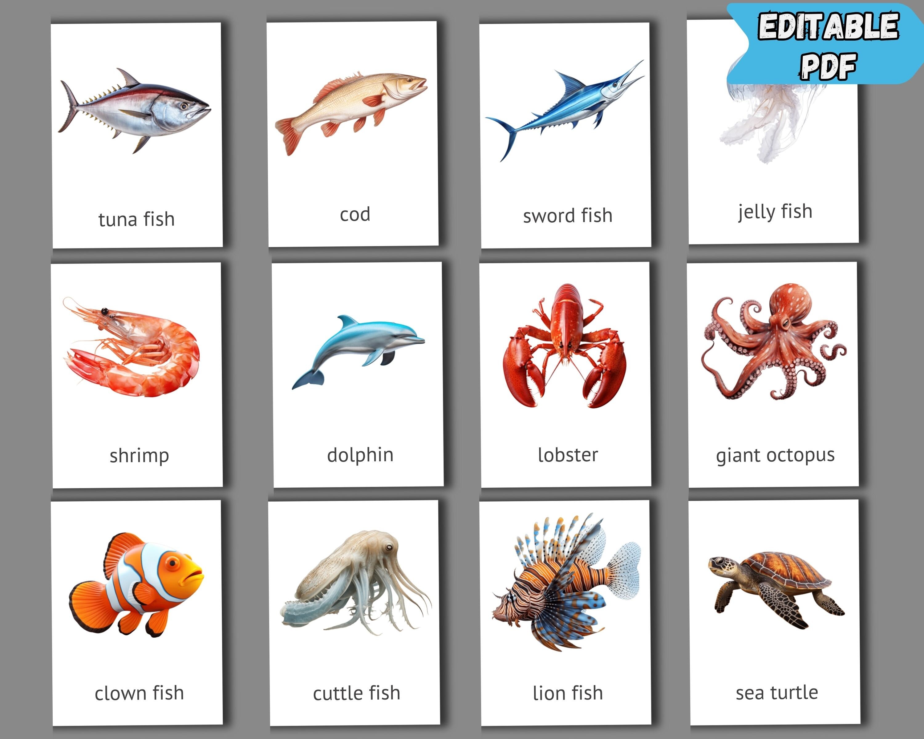 Sea Animals Flashcards PDF Printable Card Editable - Etsy UK