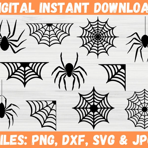 Spider Web Svg - Etsy