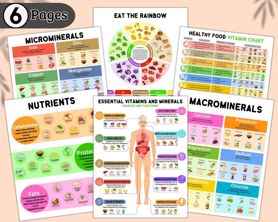Vitamins and Mineral Chart Sheet, Nutrition Facts Food List, Essential ...