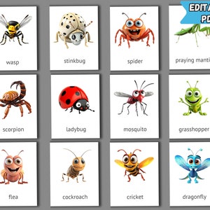 Insects Flashcards | PDF Printable Card | Editable Montessori Cards ...