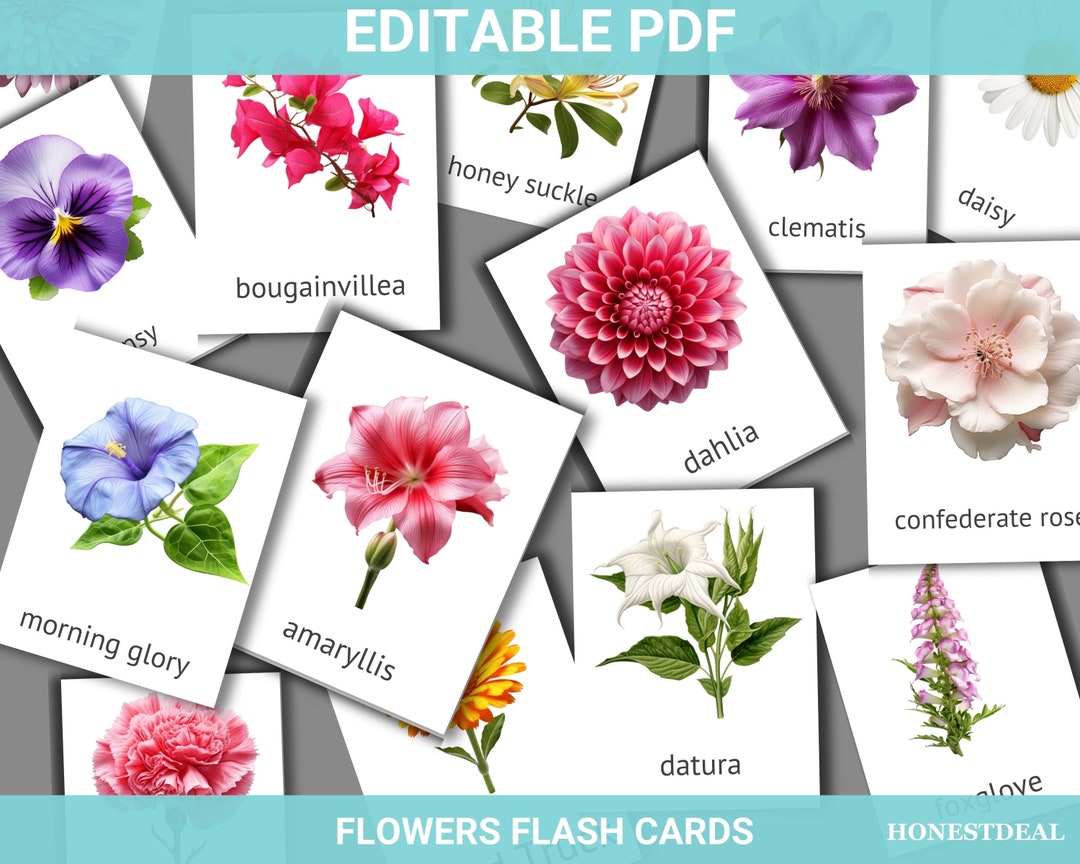 Flowers Flash Cards JPG, Montessori Printable Card Learning Material ...