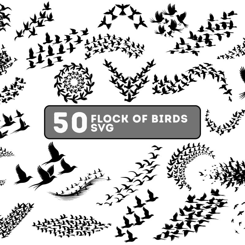 Bird Decals Flock - Etsy