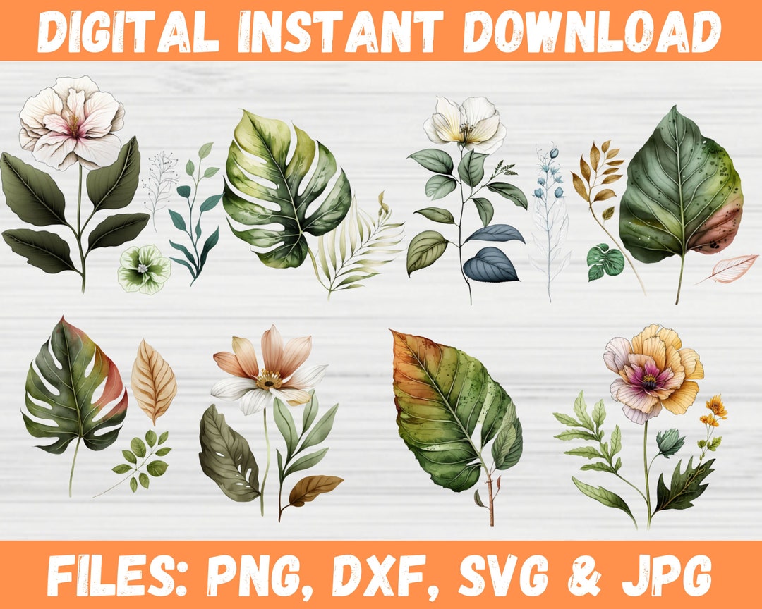 Botanical Floral Leaves Clipart Colorful Plant Bundle Botanical Floral ...
