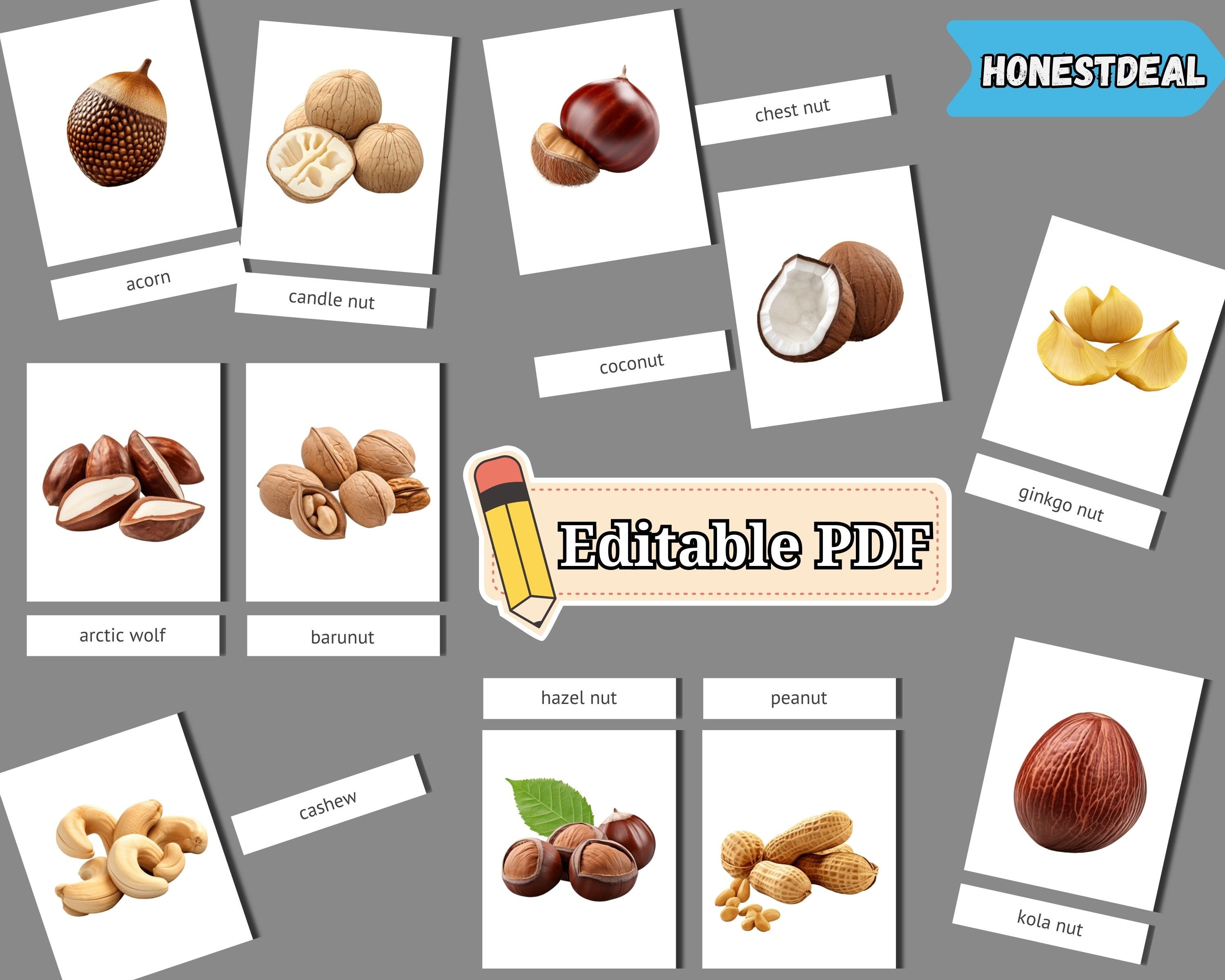 Nuts Flashcards PDF Printable Card Editable Montessori - Etsy